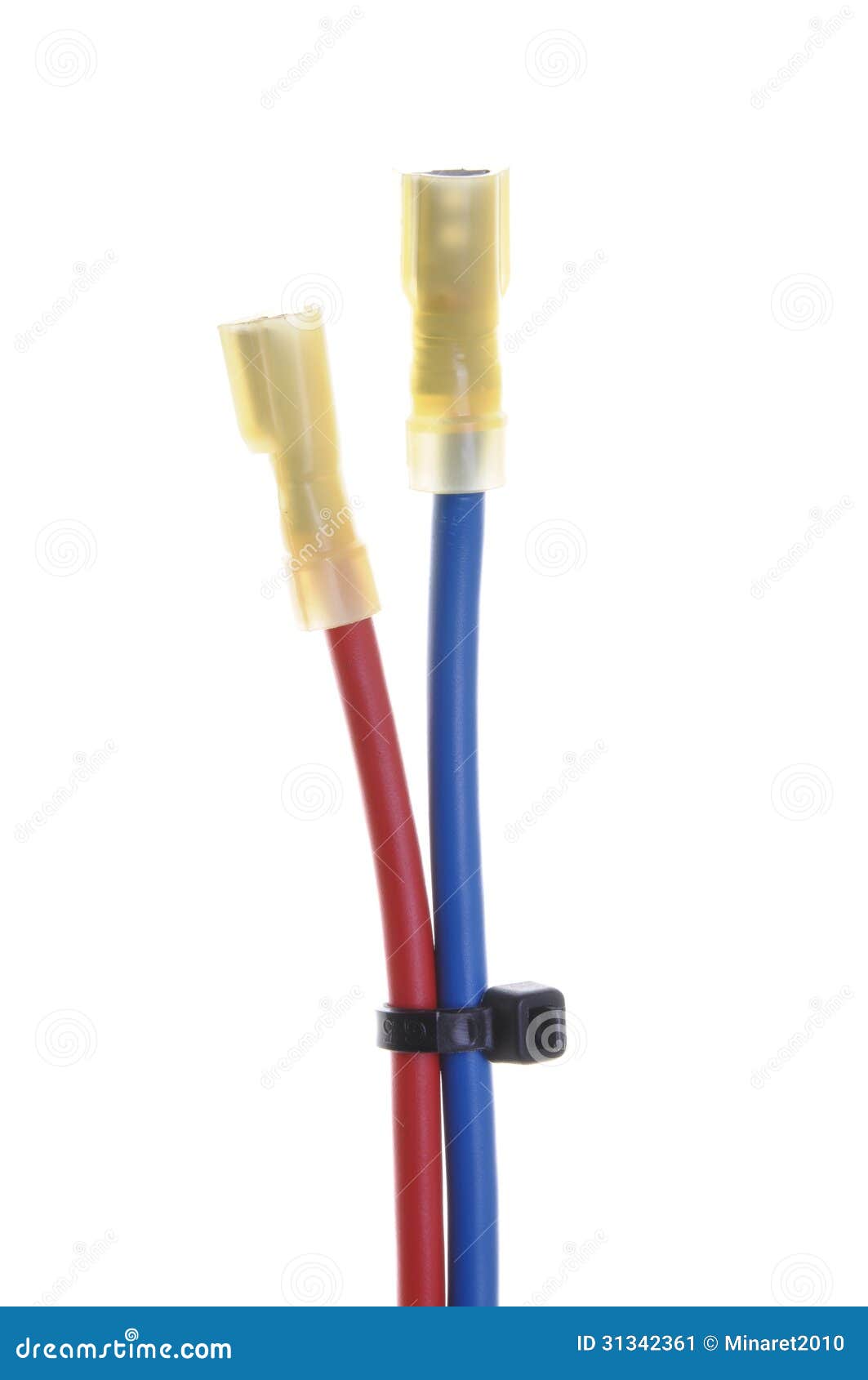 Cable Eléctrico Azul Y Rojo Con El Terminal Imagen de archivo - Imagen ...