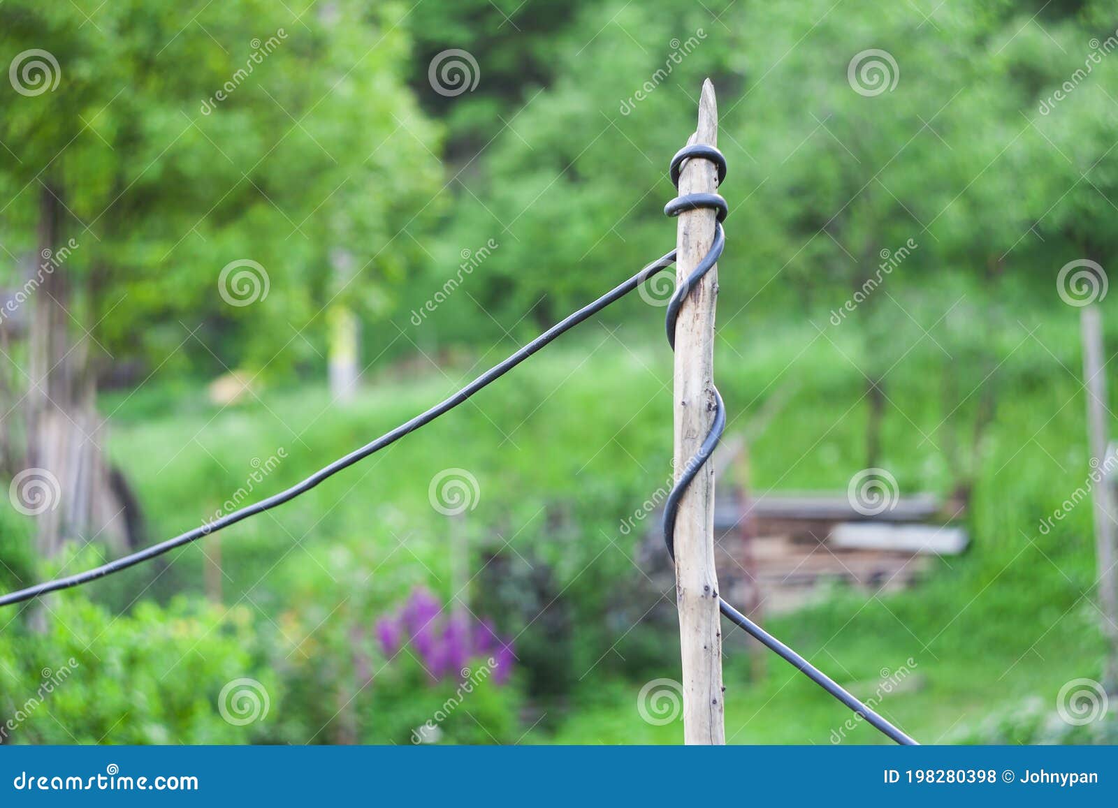 Cable, Electric, With Various Connecting Couplings Stock Image ...