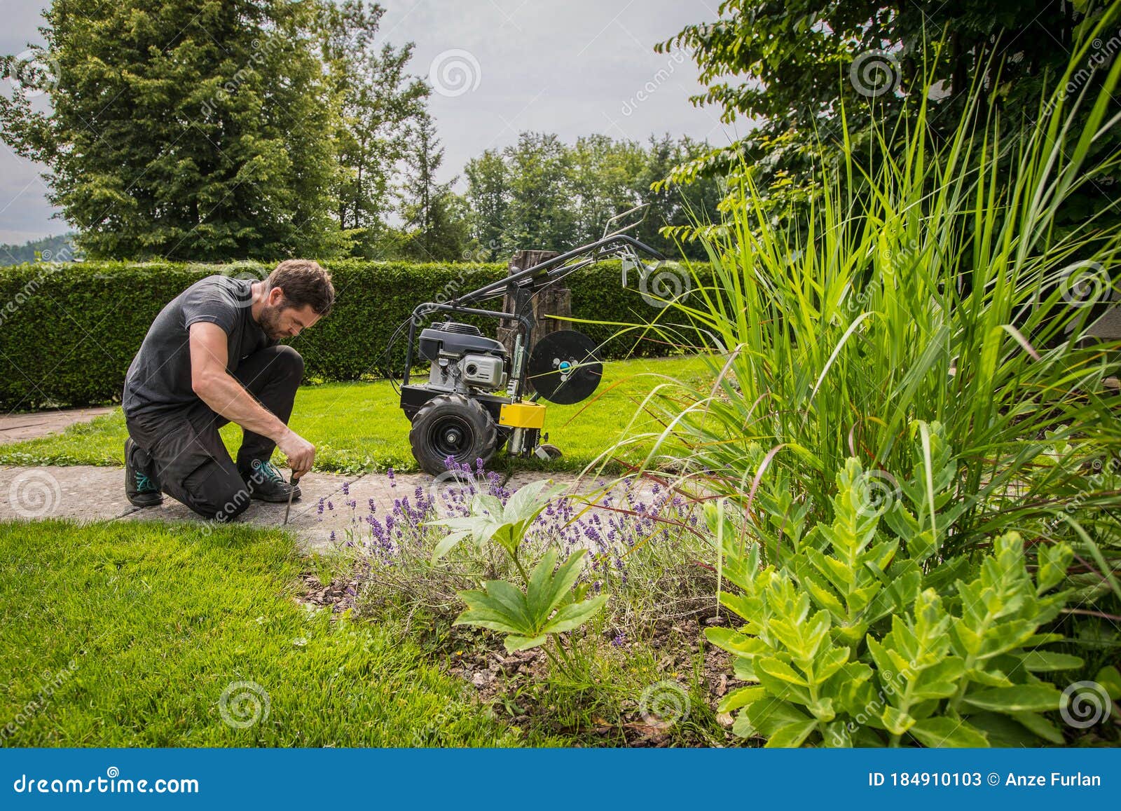 Cable Laying Machine with an Operator Stock Image - Image of gardening ...