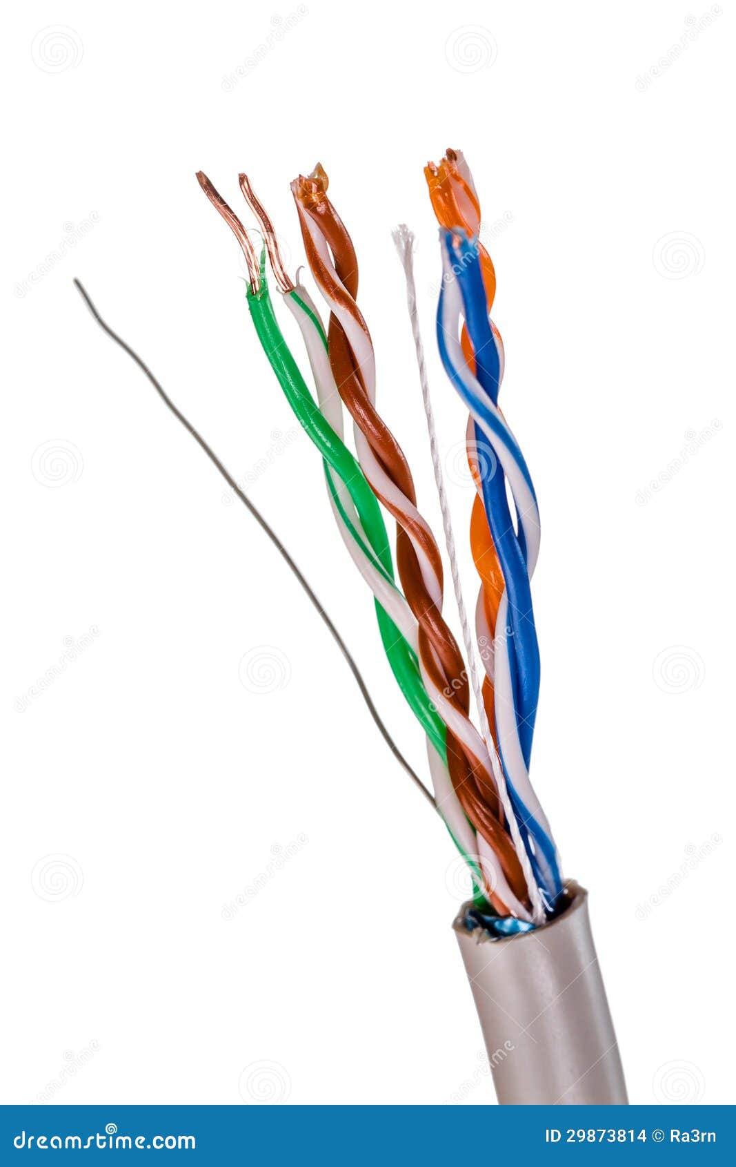 Network Cable CAT5 on White Stock Photo - Image of technology ...