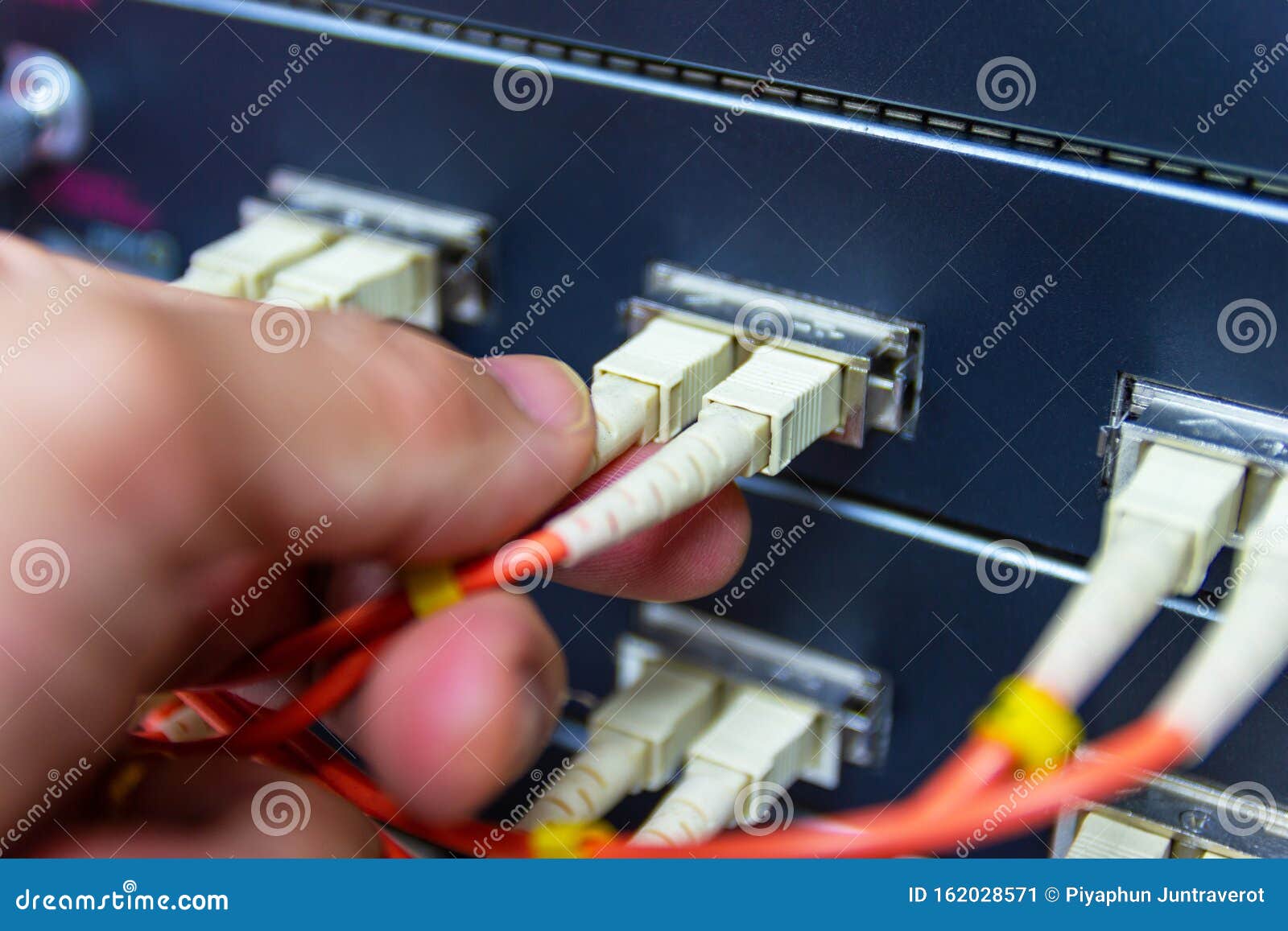 Cable Network , Fiber Optic Cable Connect To Switch Port in Server Room ...