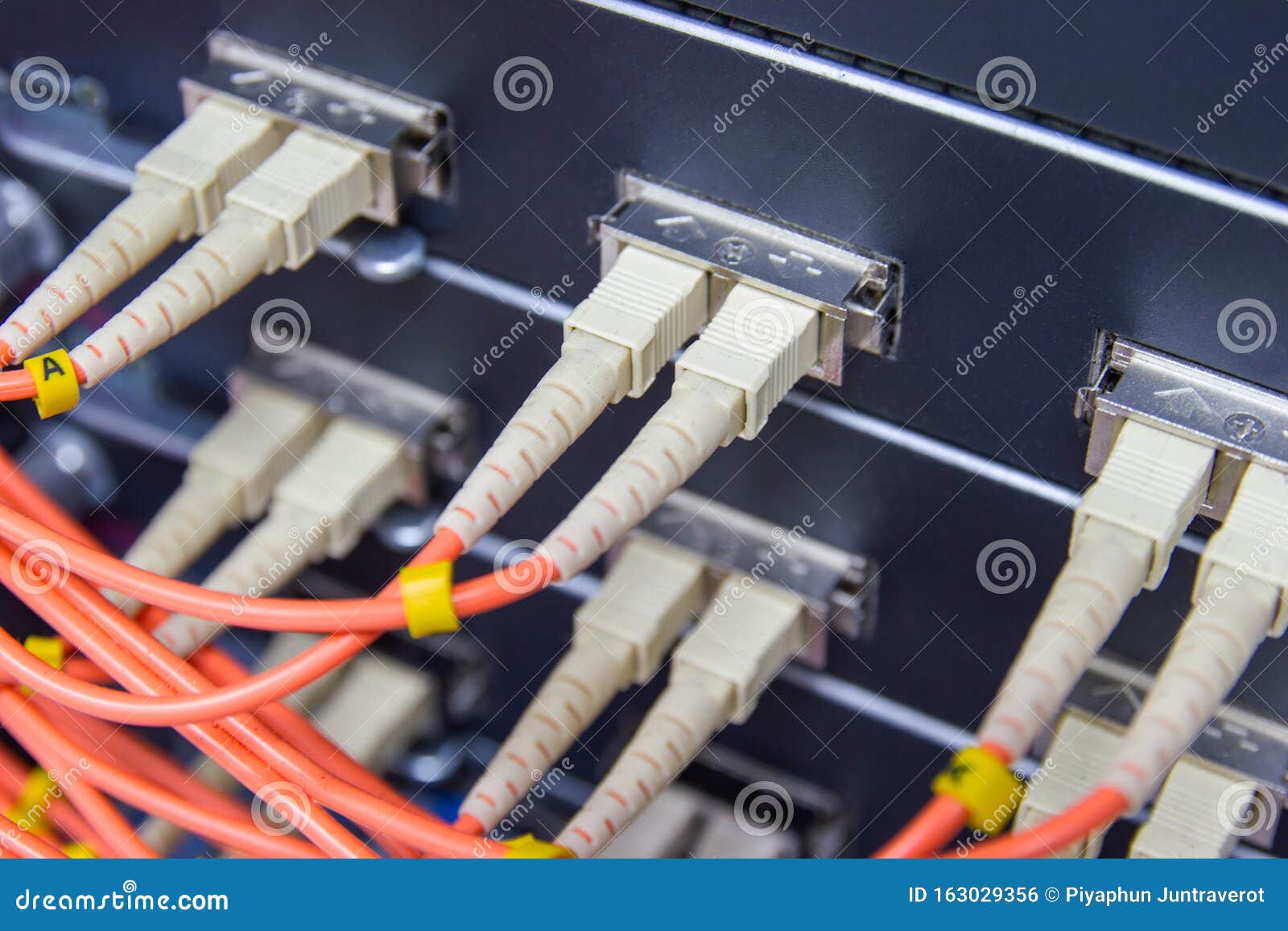 Cable Network , Fiber Optic Cable Connect To Switch Port in Server Room ...