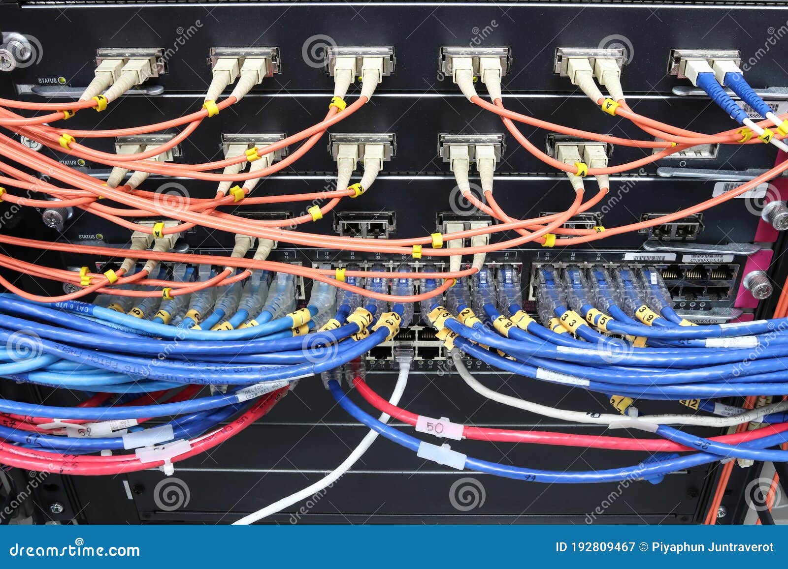 Cable Network, Fiber Optic Cable Connect To Switch Port in Server Room ...