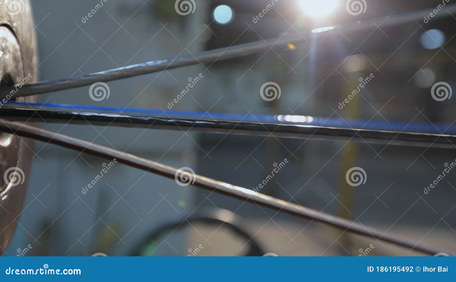 Cable Plexus Close-up, Cable Manufacturing Process in a Modern Factory ...