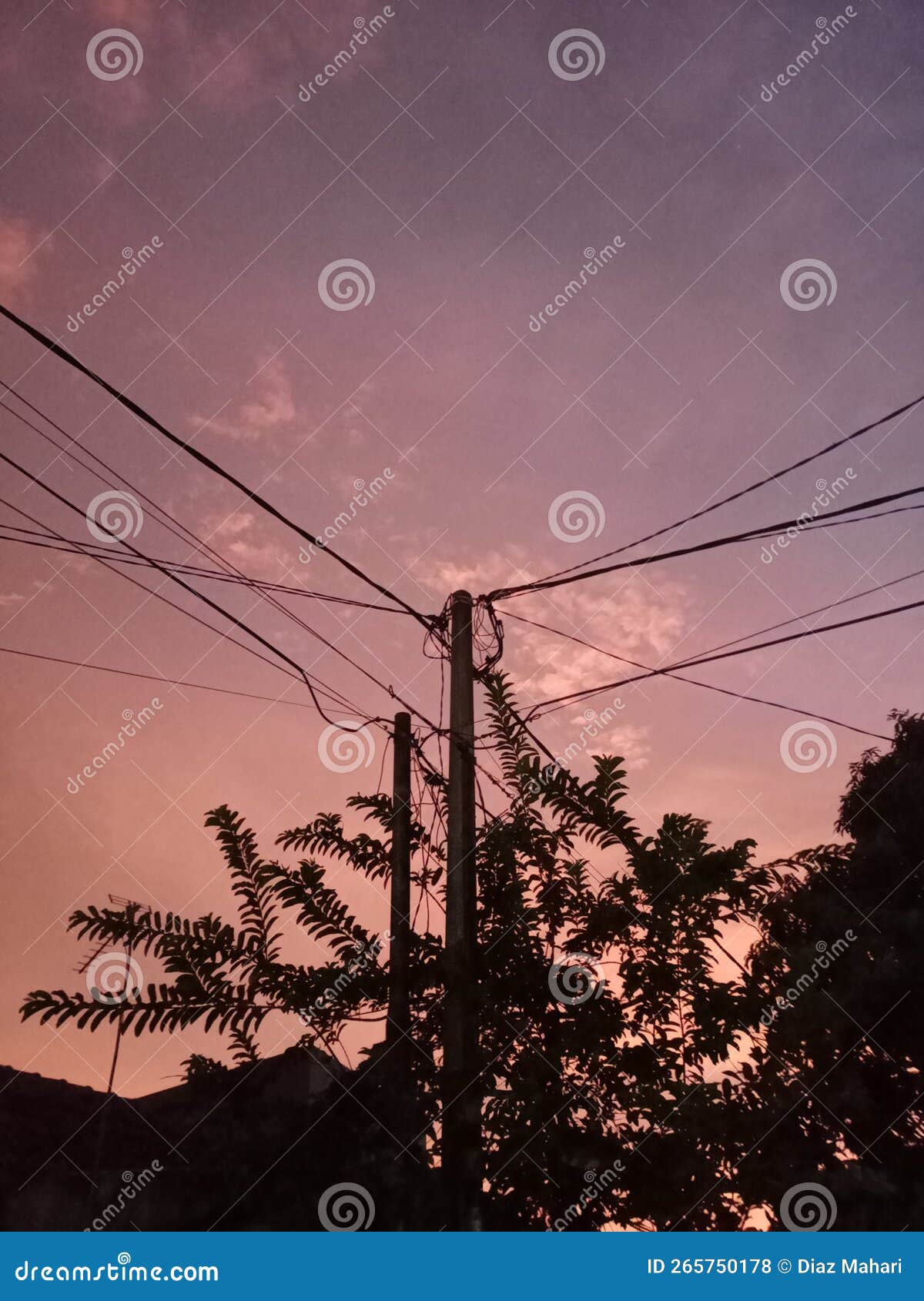 Cable poles at sunset stock photo. Image of cable, sunset - 265750178