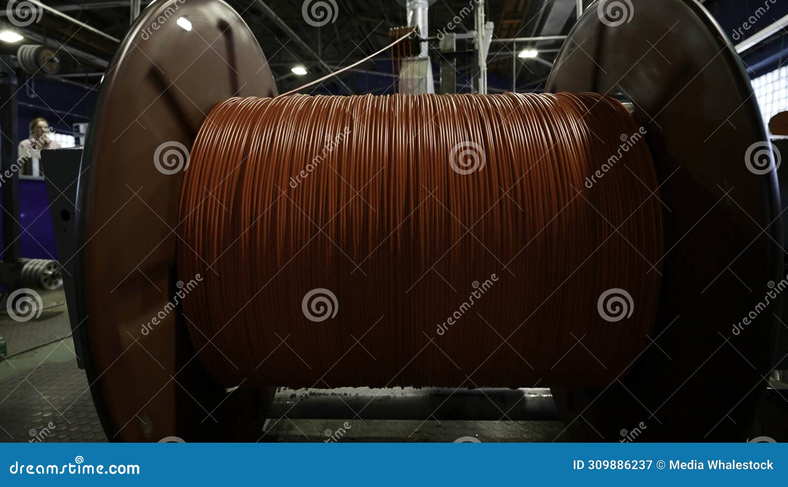 Cable Production Workshop and Large Coil. Creative. Modern Cable ...