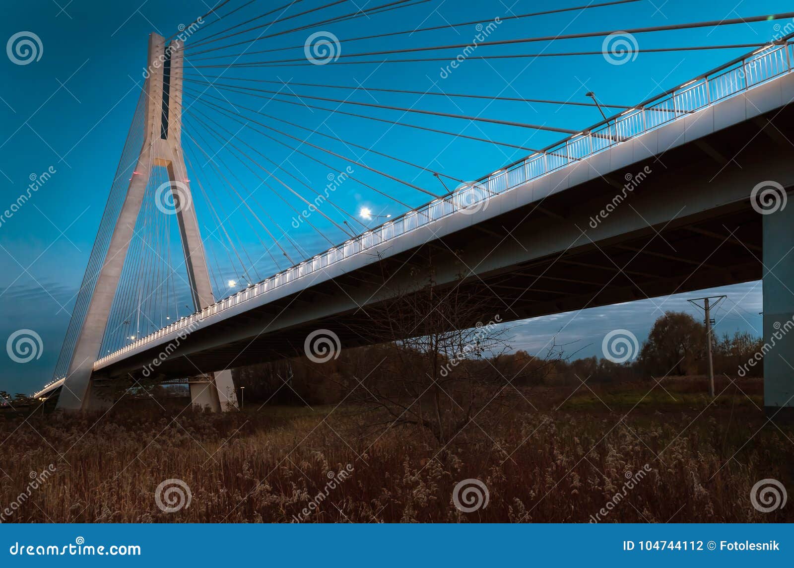 Cable-stayed Bridge Close-up in the Evening Stock Photo - Image of road ...