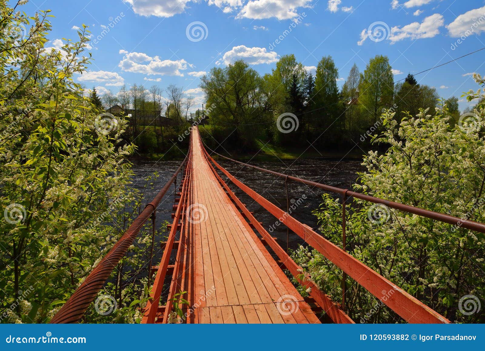 Cable-stayed Bridge Over the River Stock Photo - Image of perspective ...