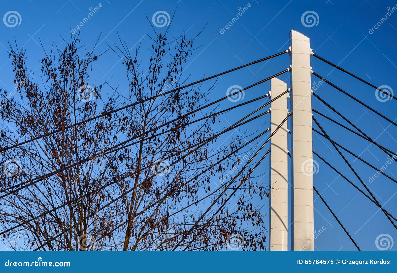 Cable-stayed Bridge Pylons and Tree Branches Stock Image - Image of ...