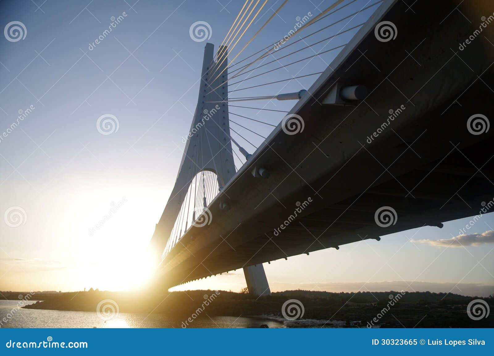 Cable-stayed Bridge In Tree Canopies, Africa Royalty-Free Stock Photo ...