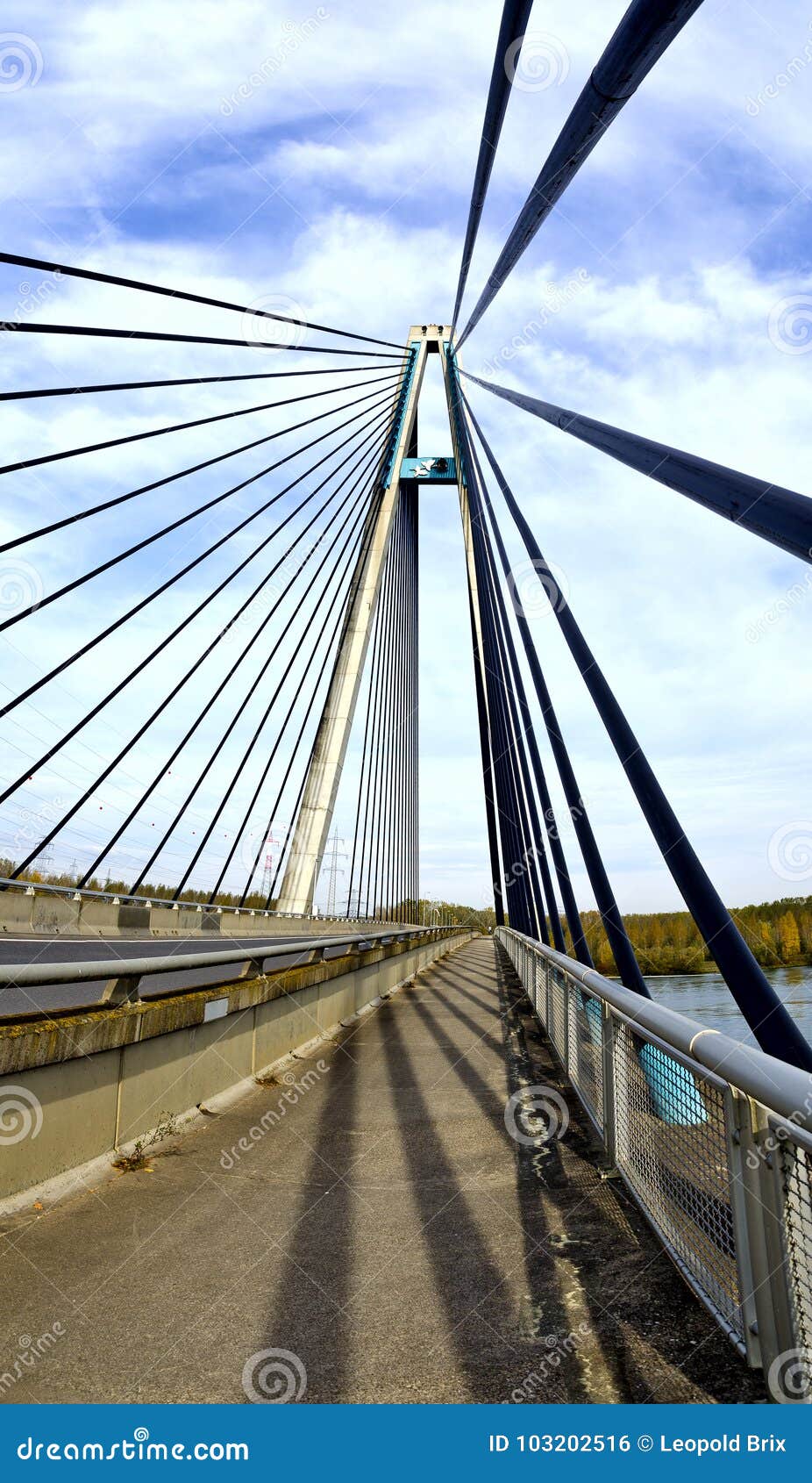 Cable-stayed bridge stock photo. Image of towers, danube - 103202516