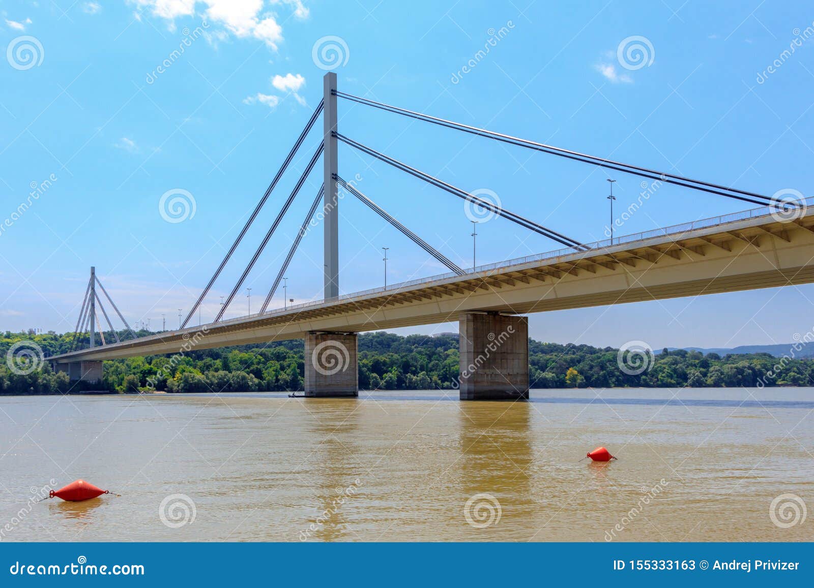 Cable-stayed Liberty Bridge on the Danube River in Novi Sad, Serbia ...