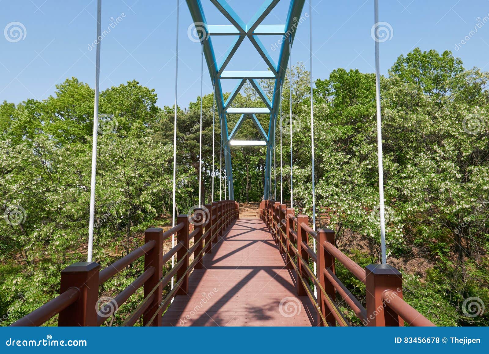 Cable-stayed Pedestrian Bridge Stock Photo - Image of hanging, spring ...