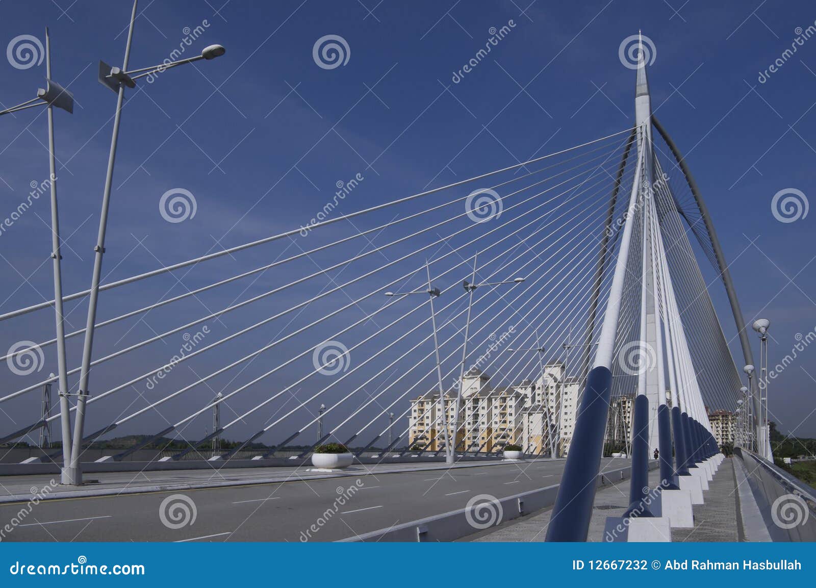 Cable-stayed Bridge. See The Curved Lines Of The Most Famous Bridge In ...