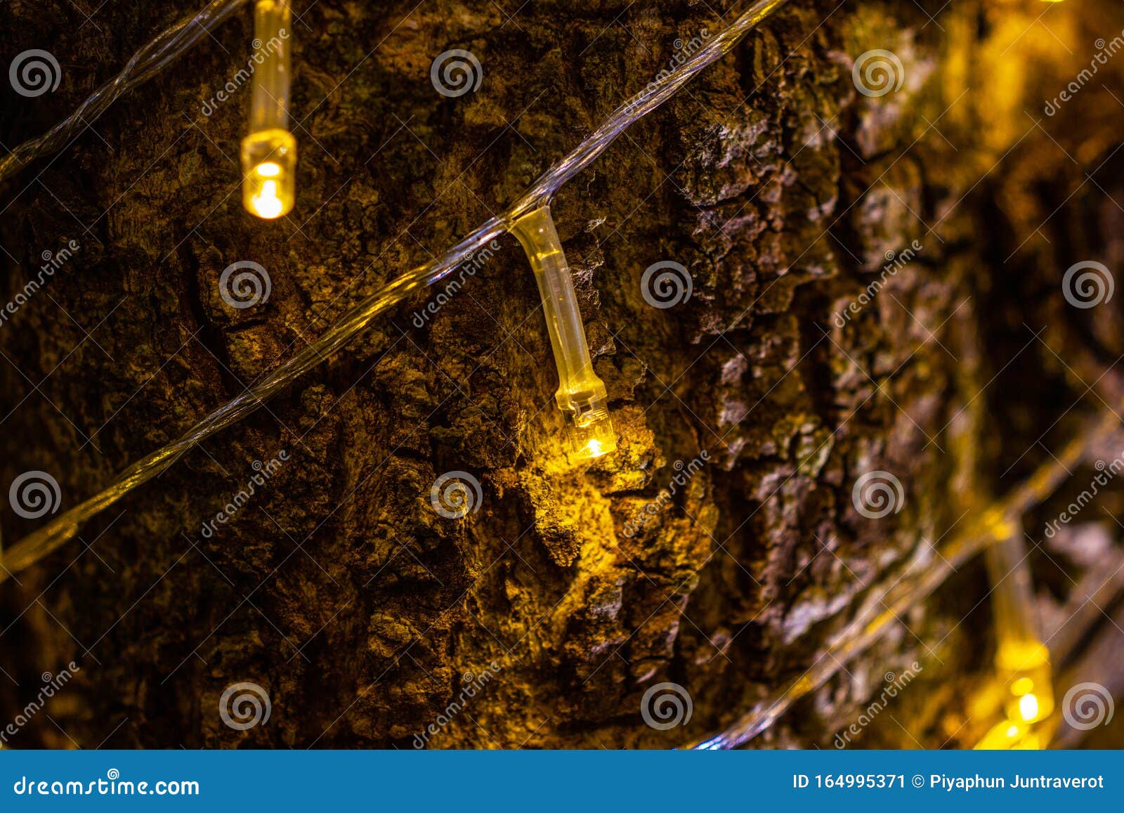 Cable of String Led Lights Used for Decorating for Beauty According To ...