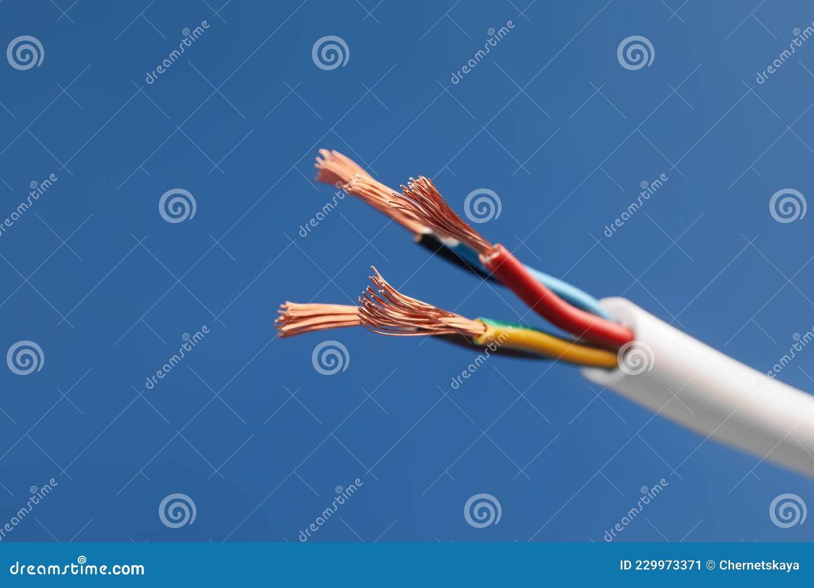 Cable with Stripped Wires on Blue Background Stock Image - Image of ...