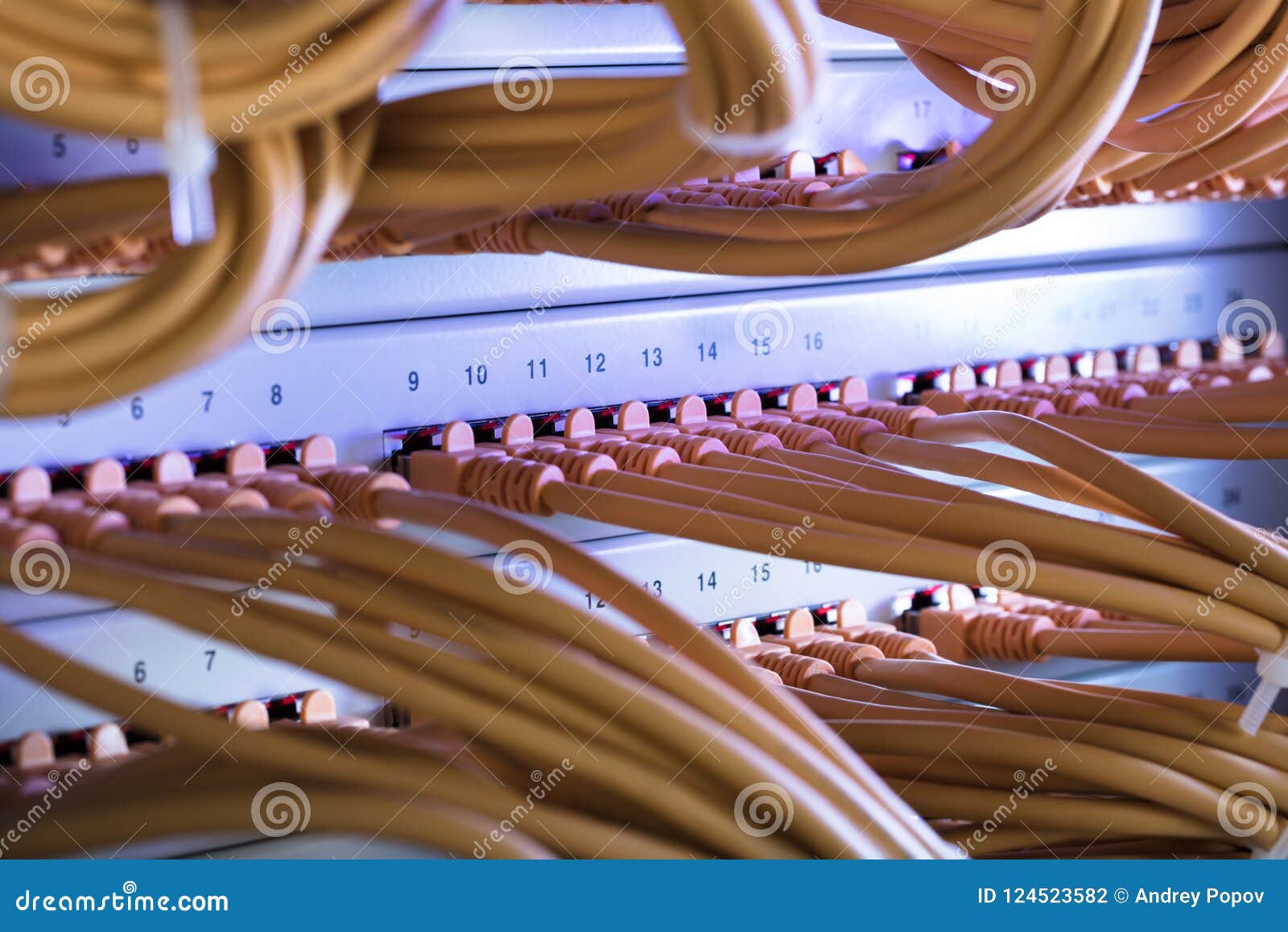 Cables Connected To Server stock photo. Image of plenty - 124523582