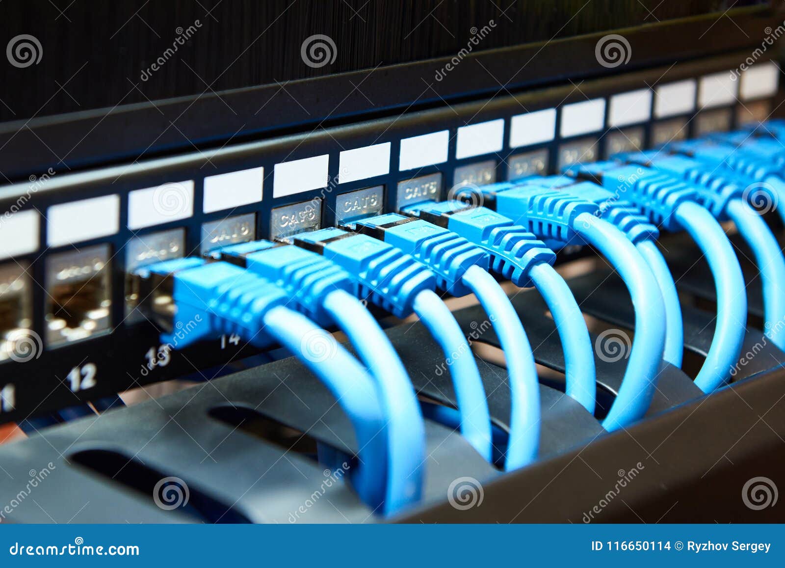 Cables and Connectors in Switch on Rack Stock Photo - Image of cables ...