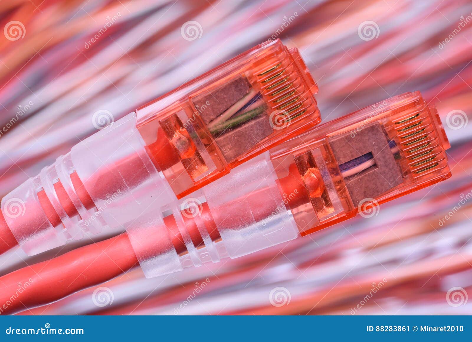 Cables Del Equipo De Red Con Los Enchufes Imagen de archivo - Imagen de ...