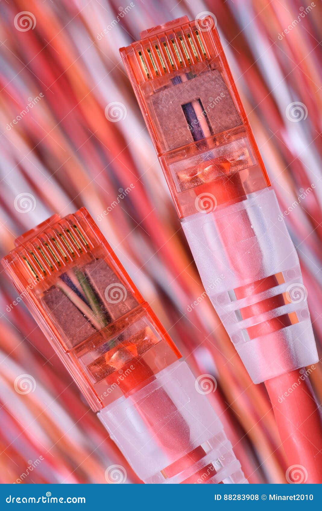 Cables Del Equipo De Red Con Los Enchufes Foto de archivo - Imagen de ...