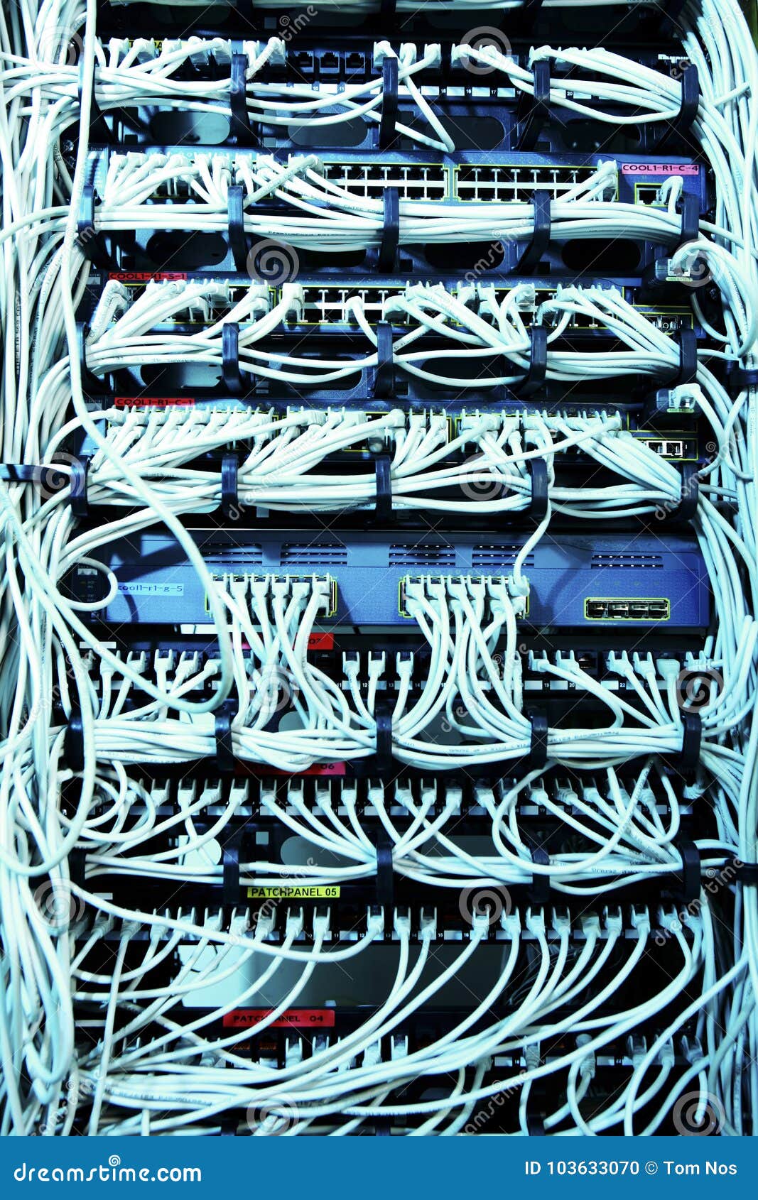 Cables Del Remiendo Del Servidor De Red De Las TIC Foto de archivo ...