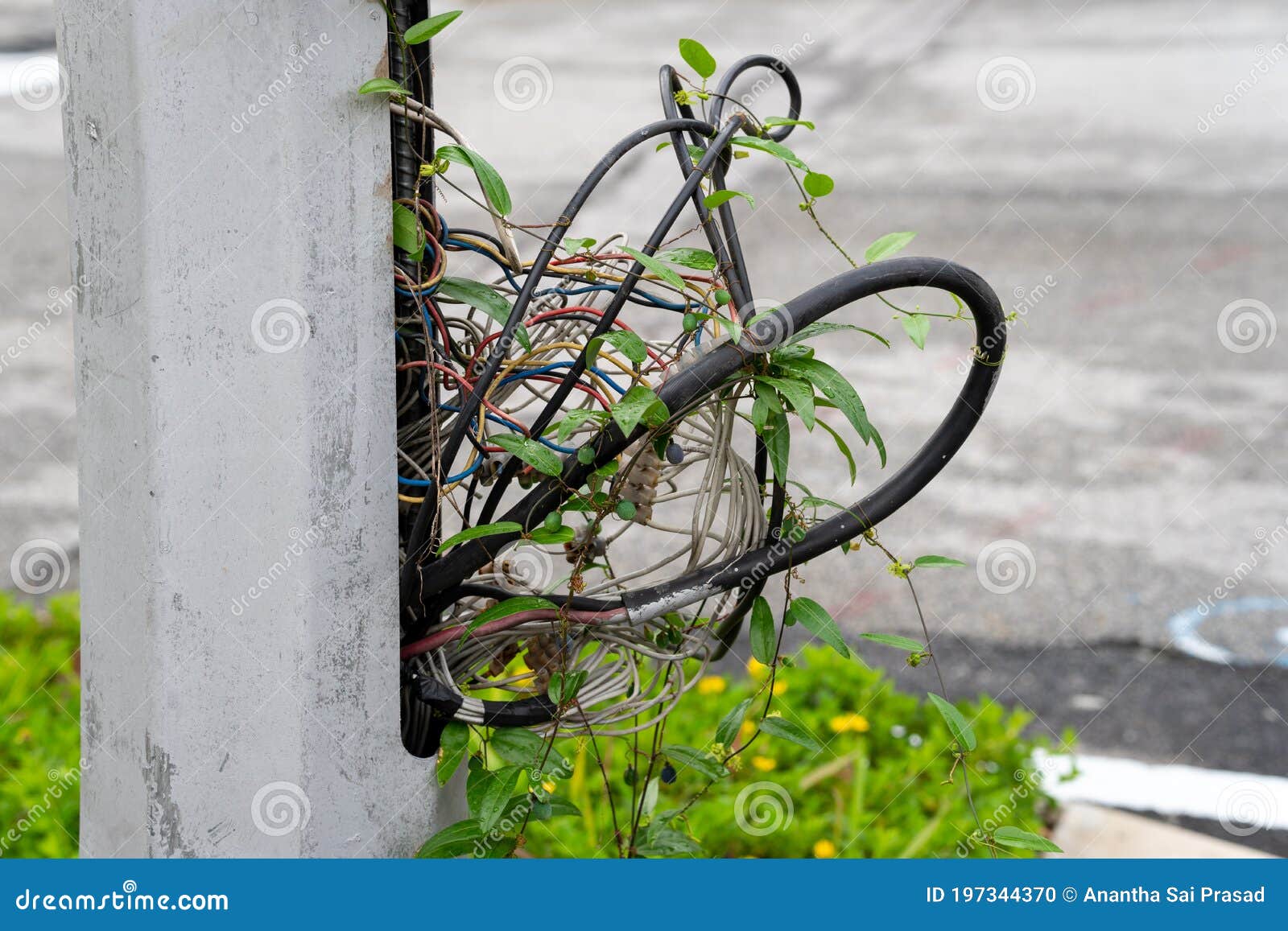 Cables Hanging from Lamp Post Risky and Dangerous Stock Photo - Image ...