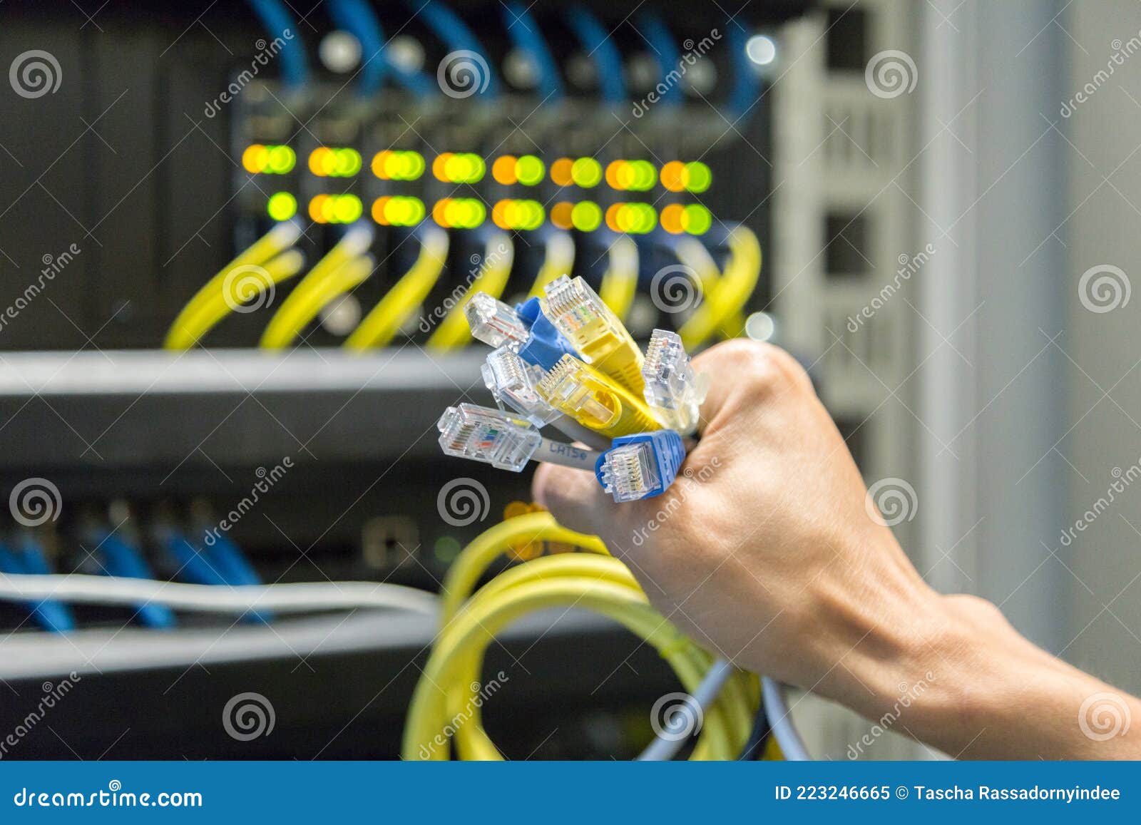Cables Lan in Hand Connecting Network Cable To Switch Information ...