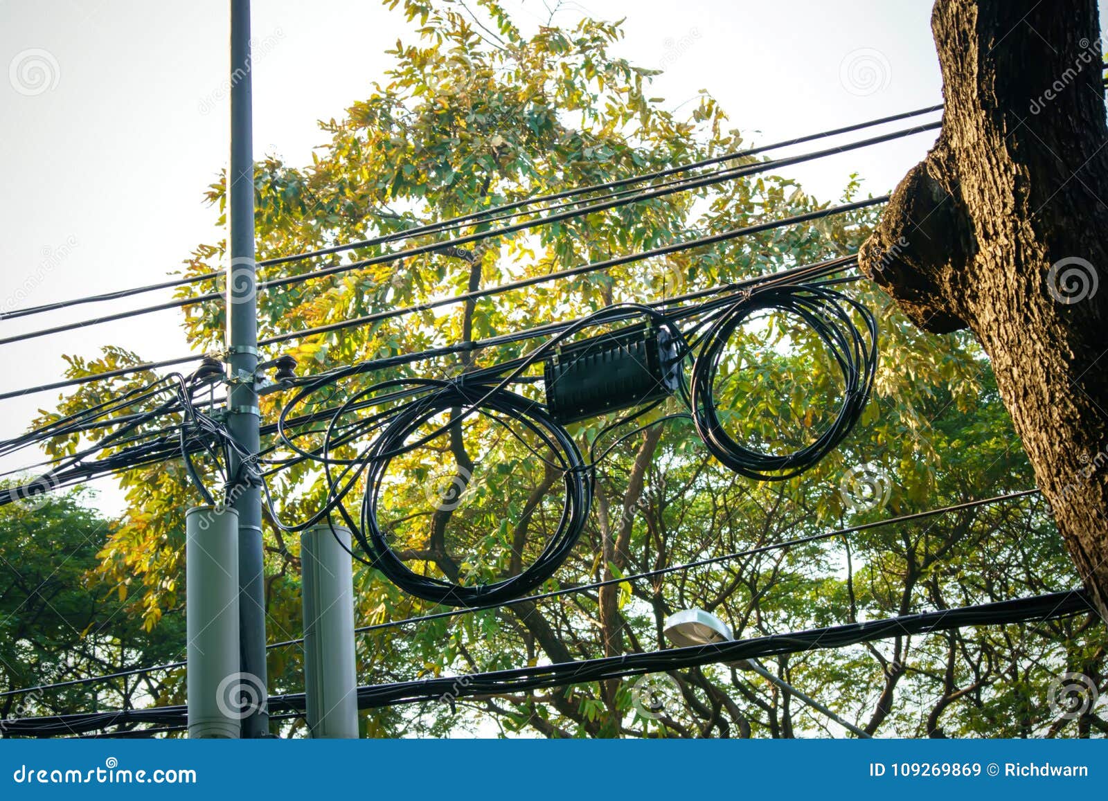 Internet pole cable stock image. Image of high, lines - 109269869