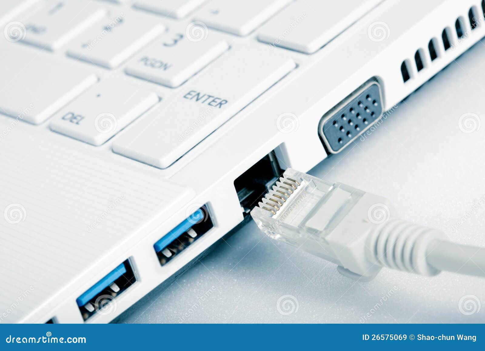 Cabos Da Rede Conectados Ao Computador Imagem de Stock - Imagem de ...