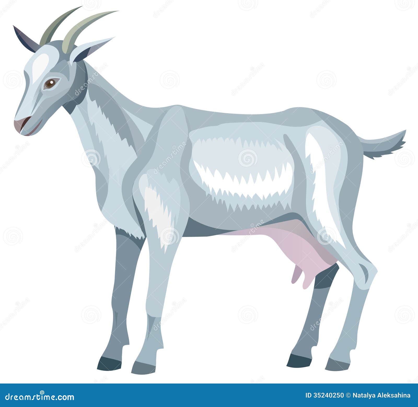 Cabra del vector ilustración del vector. Ilustración de ganado - 35240250