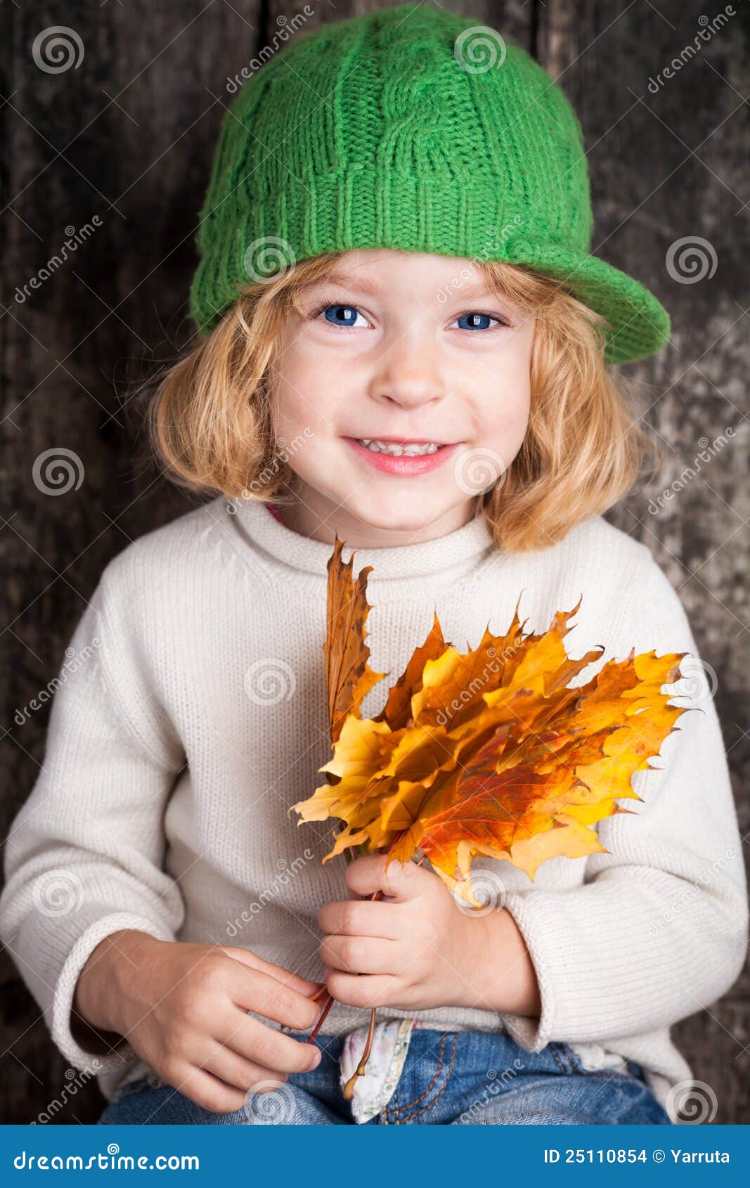 Cabrito Con Las Hojas De Arce Amarillas Foto de archivo - Imagen de ...