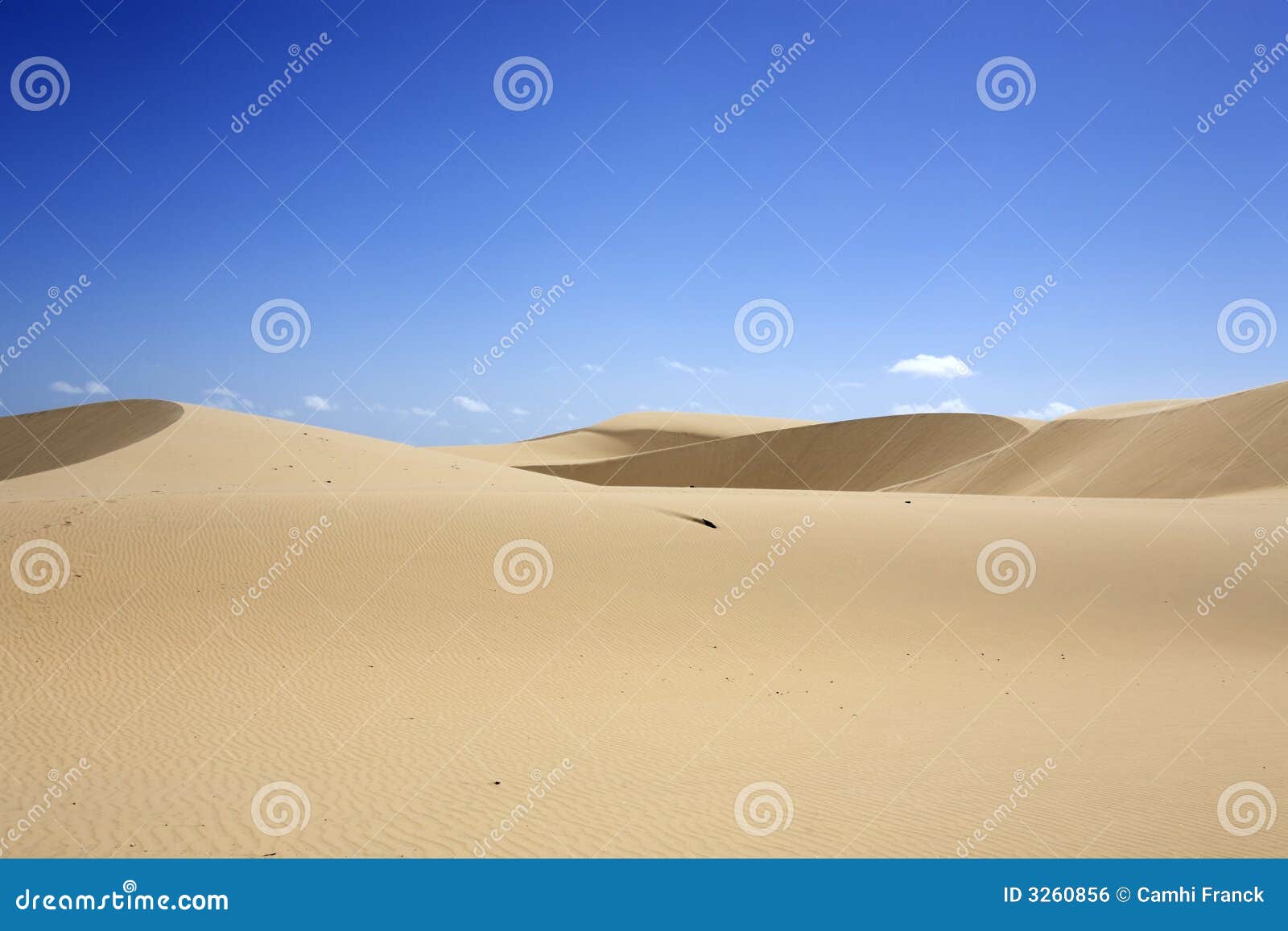 Cabure stock photo. Image of south, small, landmark, national - 3260856