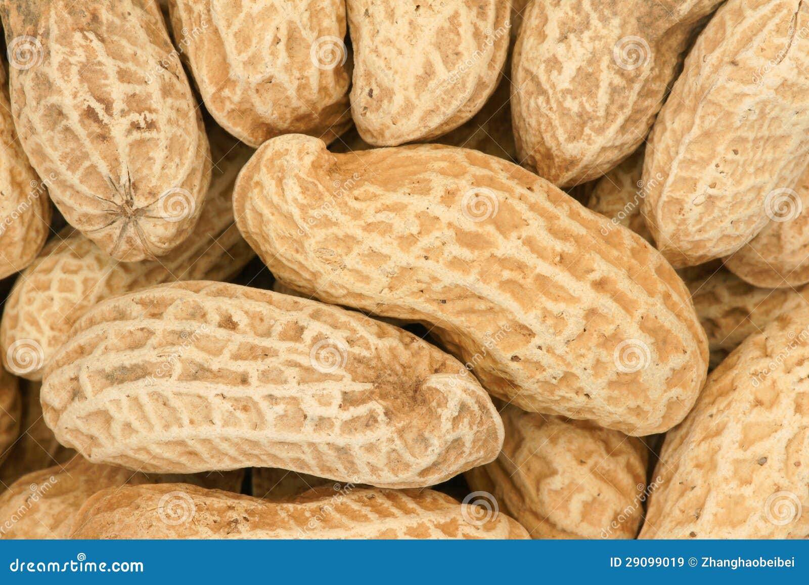 Cacahuetes imagen de archivo. Imagen de secado, comer - 29099019