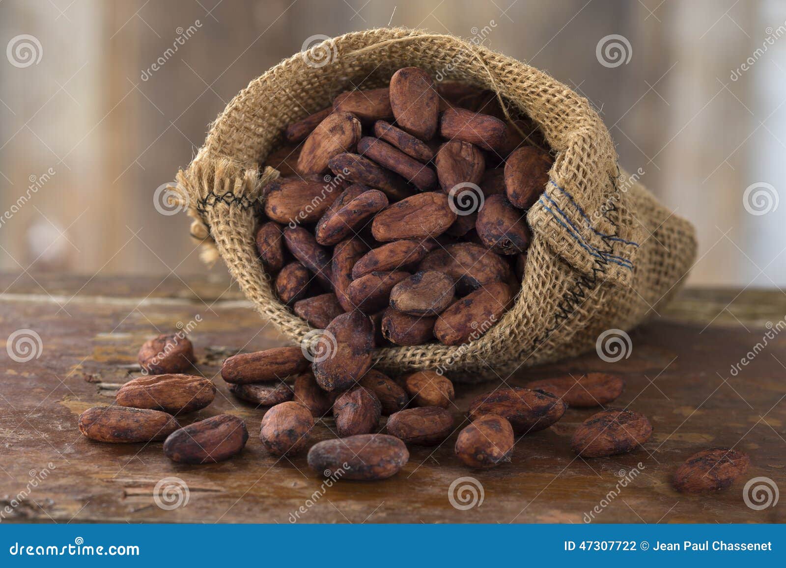 Cacao stock photo. Image of cocoa, milled, aroma, ingredient - 47307722