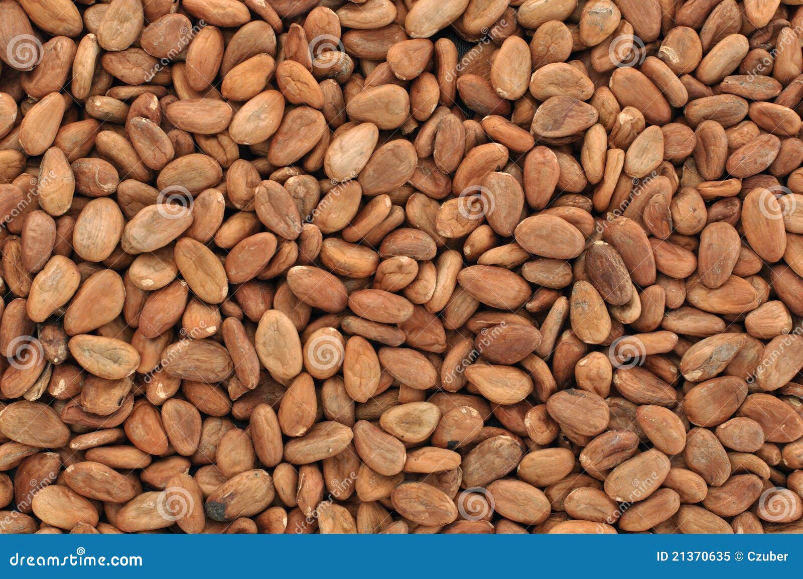 Cacao beans stock image. Image of produce, cacao, horizontal - 21370635