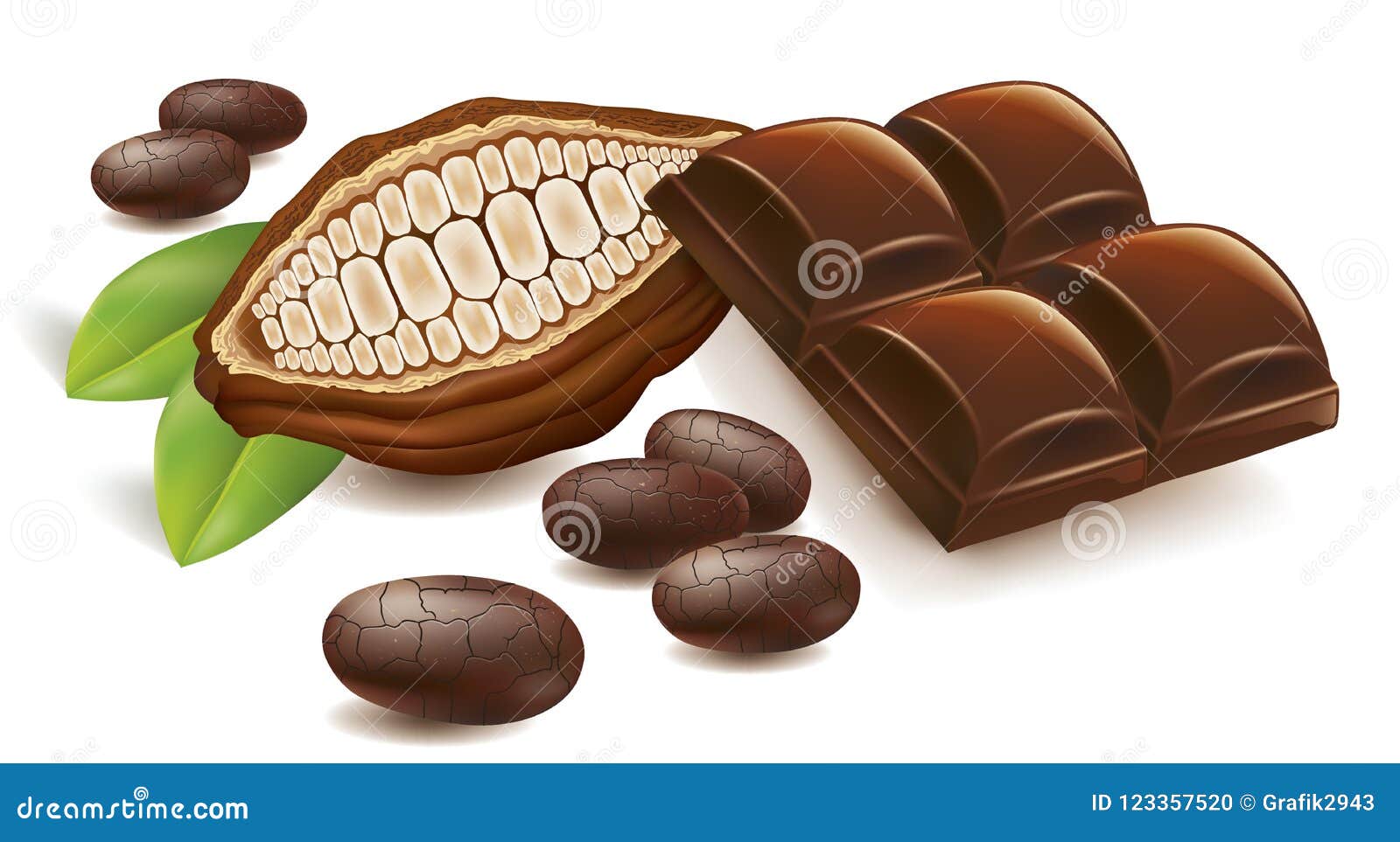 Cacao Set. Growth Stages. Vector Shape, Realistic | CartoonDealer.com ...