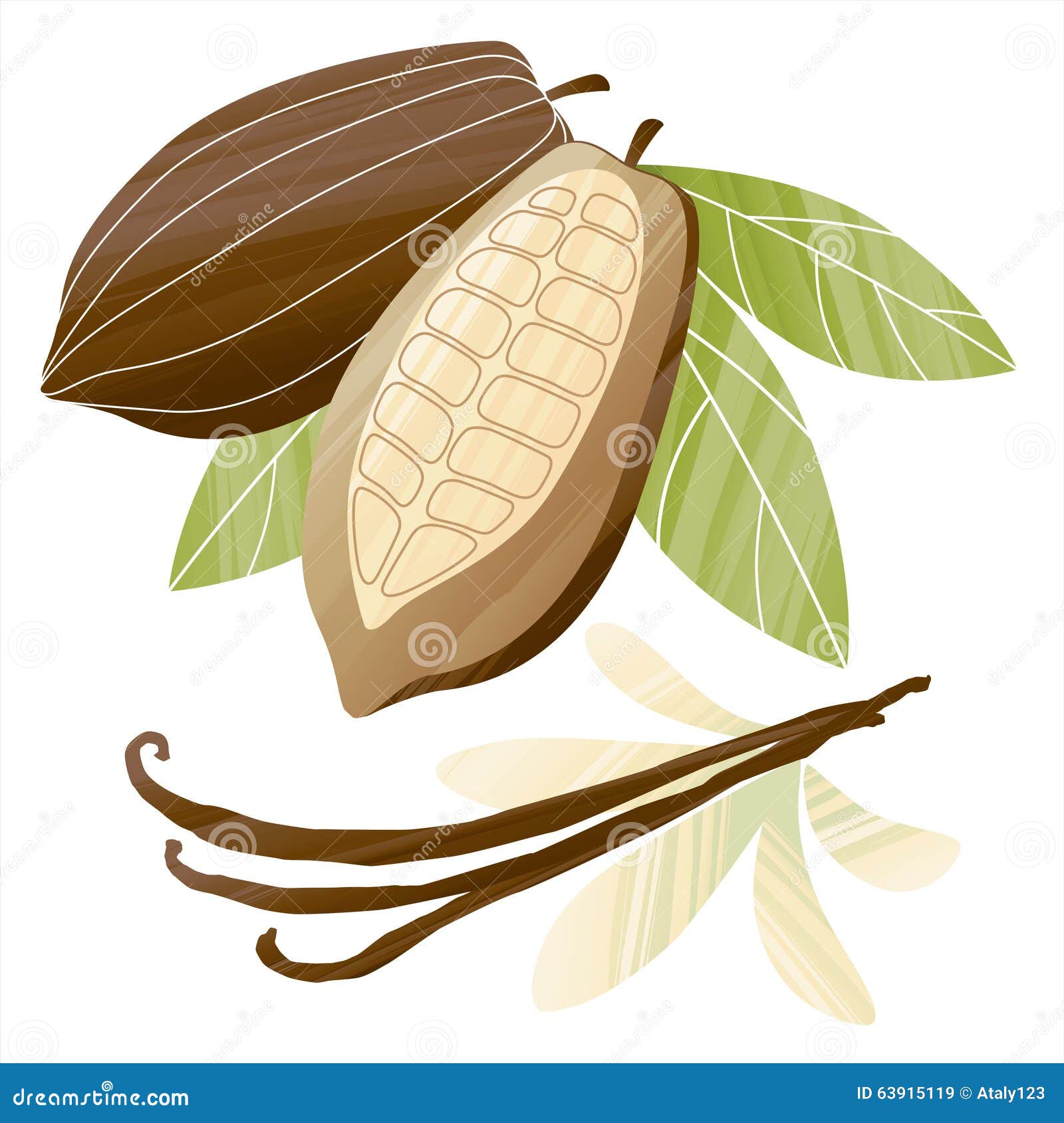 Cacao beans illustration stock vector. Illustration of nutrition - 63915119