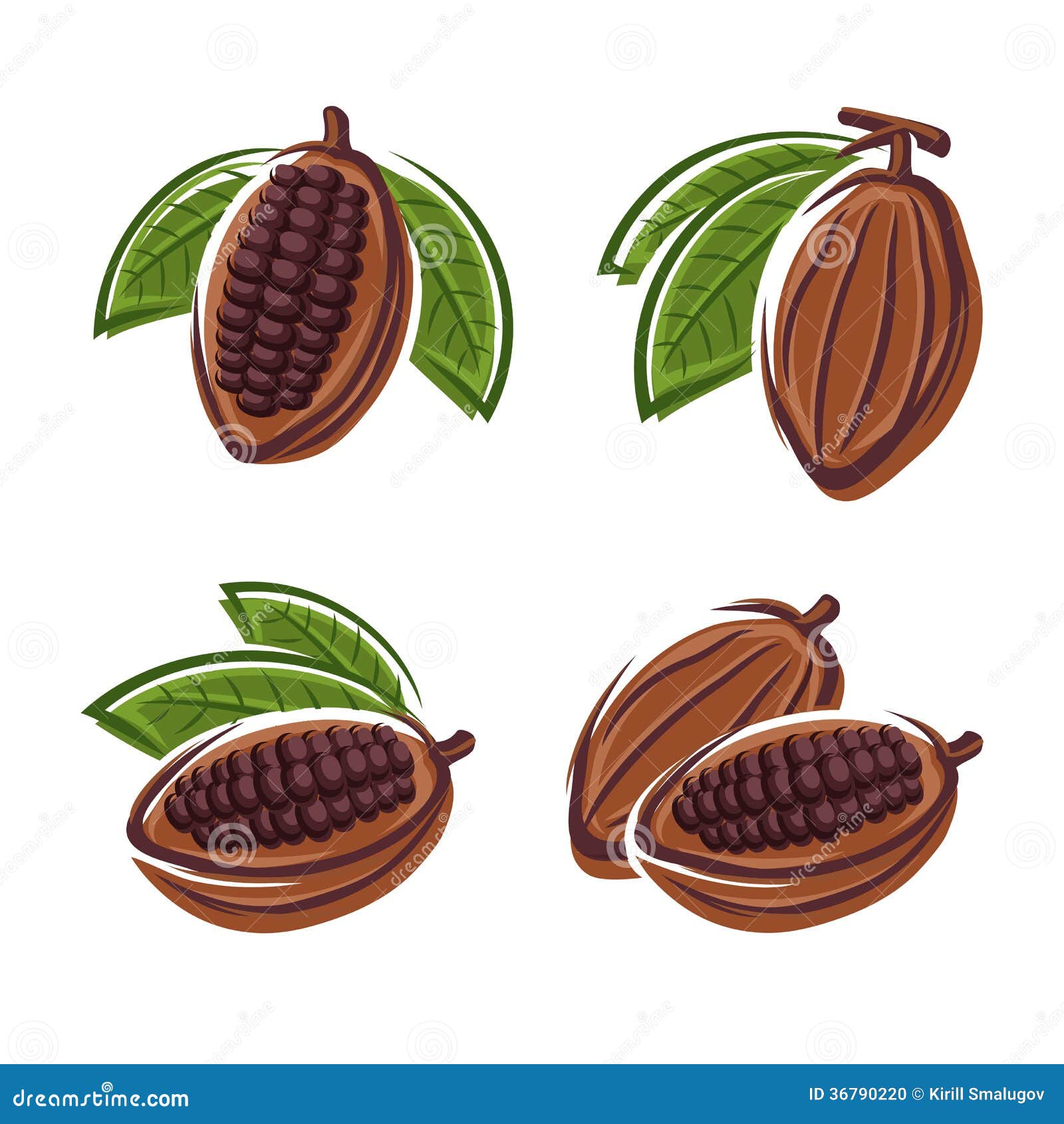 Cacao beans set. Vector stock illustration. Illustration of color ...