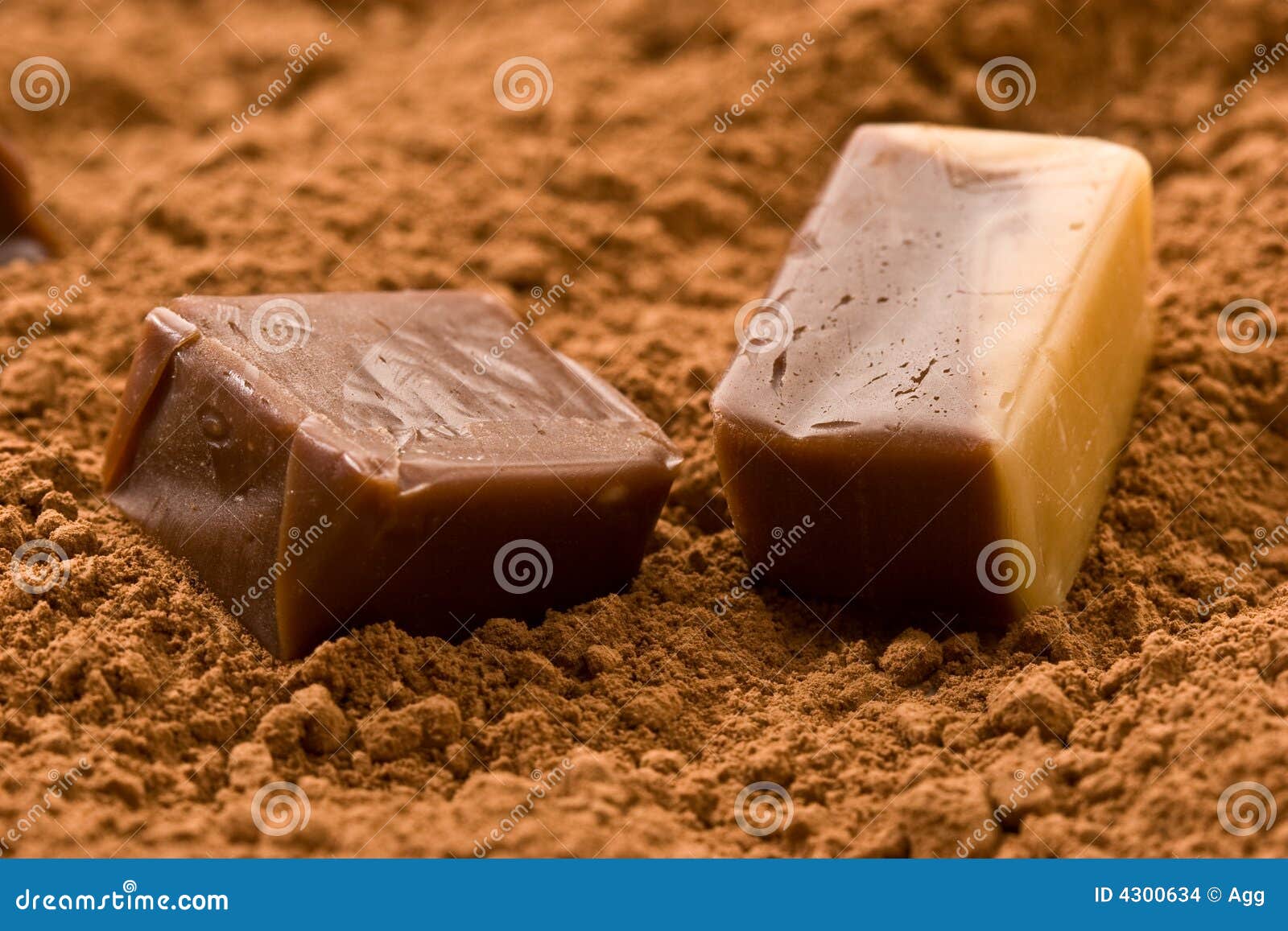 Cacao candy stock photo. Image of chocolate, cacao, cocoa - 4300634