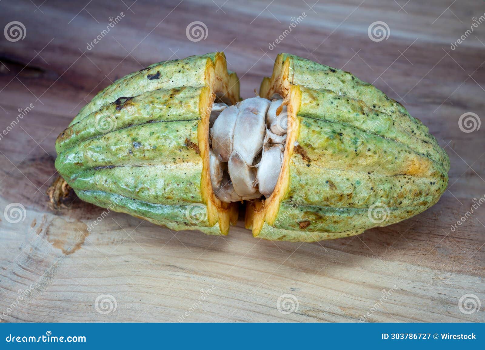 Cacao Fruit Opened Just before the Wash and Dry Process Stock Image ...