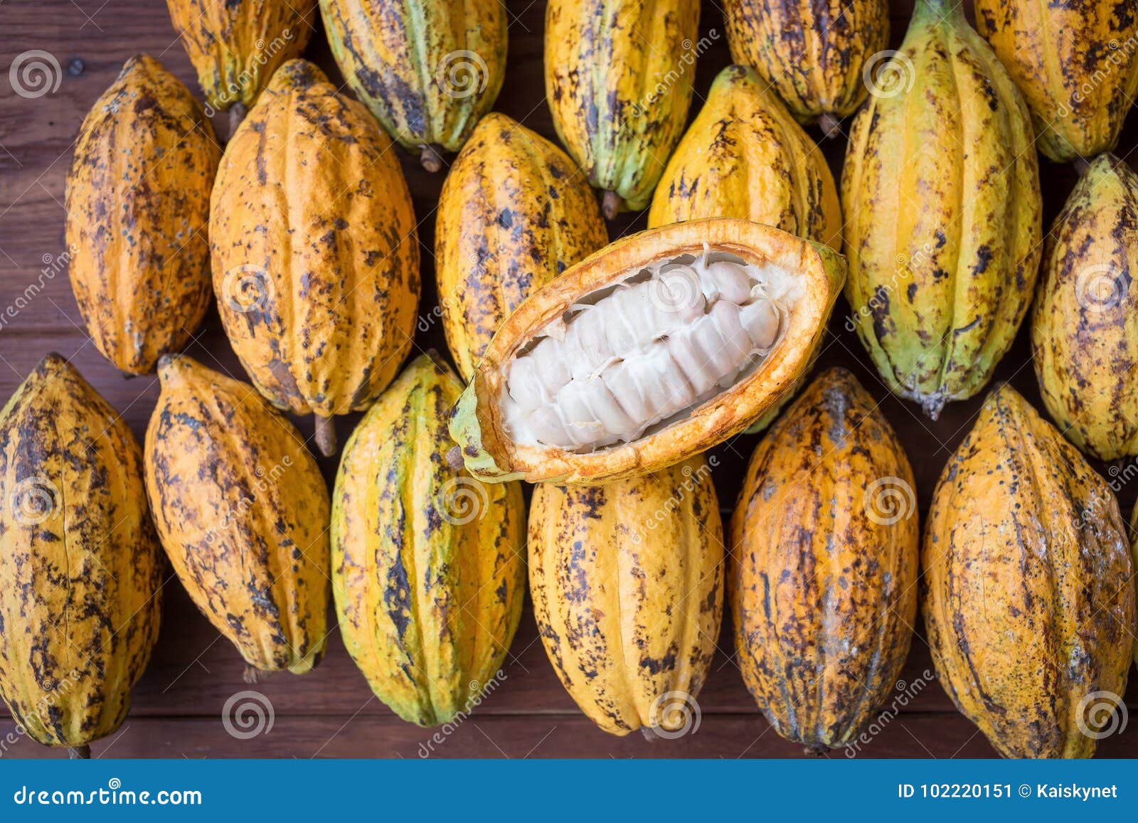 Cacao Fruit, Raw Cacao Beans, Cocoa Pod Background Stock Image - Image ...