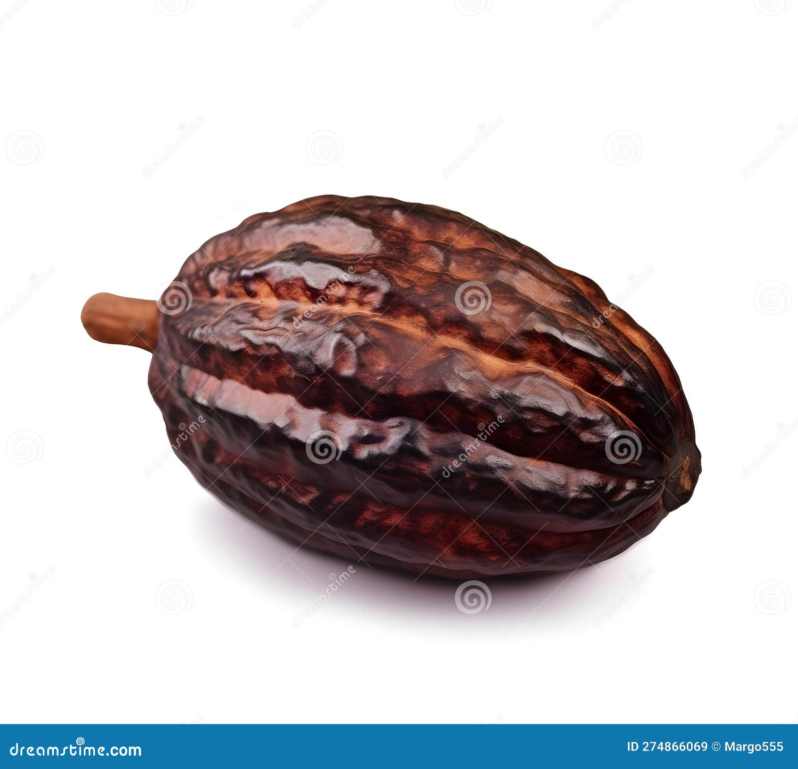 Cacao Pod Isolated On White Backgrounds.Illustration. Ai Generated ...