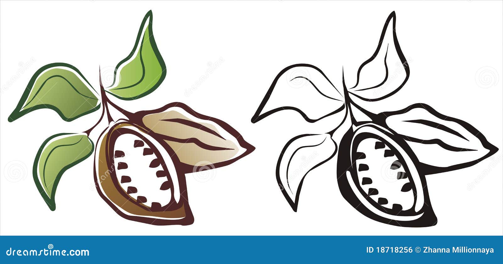 Cacao symbol stock vector. Illustration of coffee, ingredient - 18718256