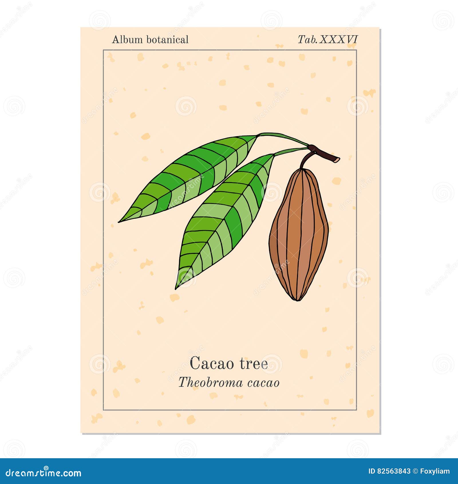 Cacao Tree, Branch. Vector Art Line Symbol | CartoonDealer.com #167794638