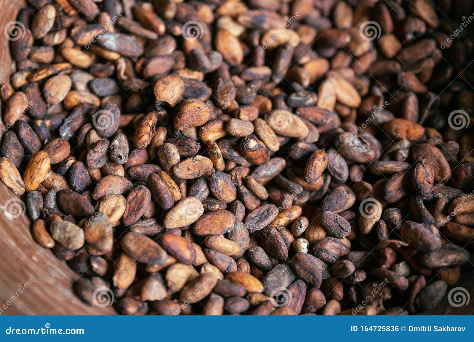 Cacaobonen in Een Kom Op De Boerderij Op Bali Stock Foto - Image of ...