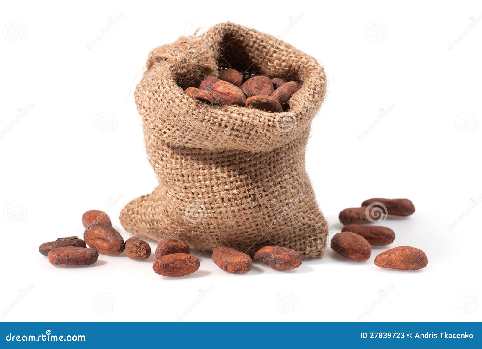 Cacaoboon stock afbeelding. Image of chocolade, tropisch - 27839723