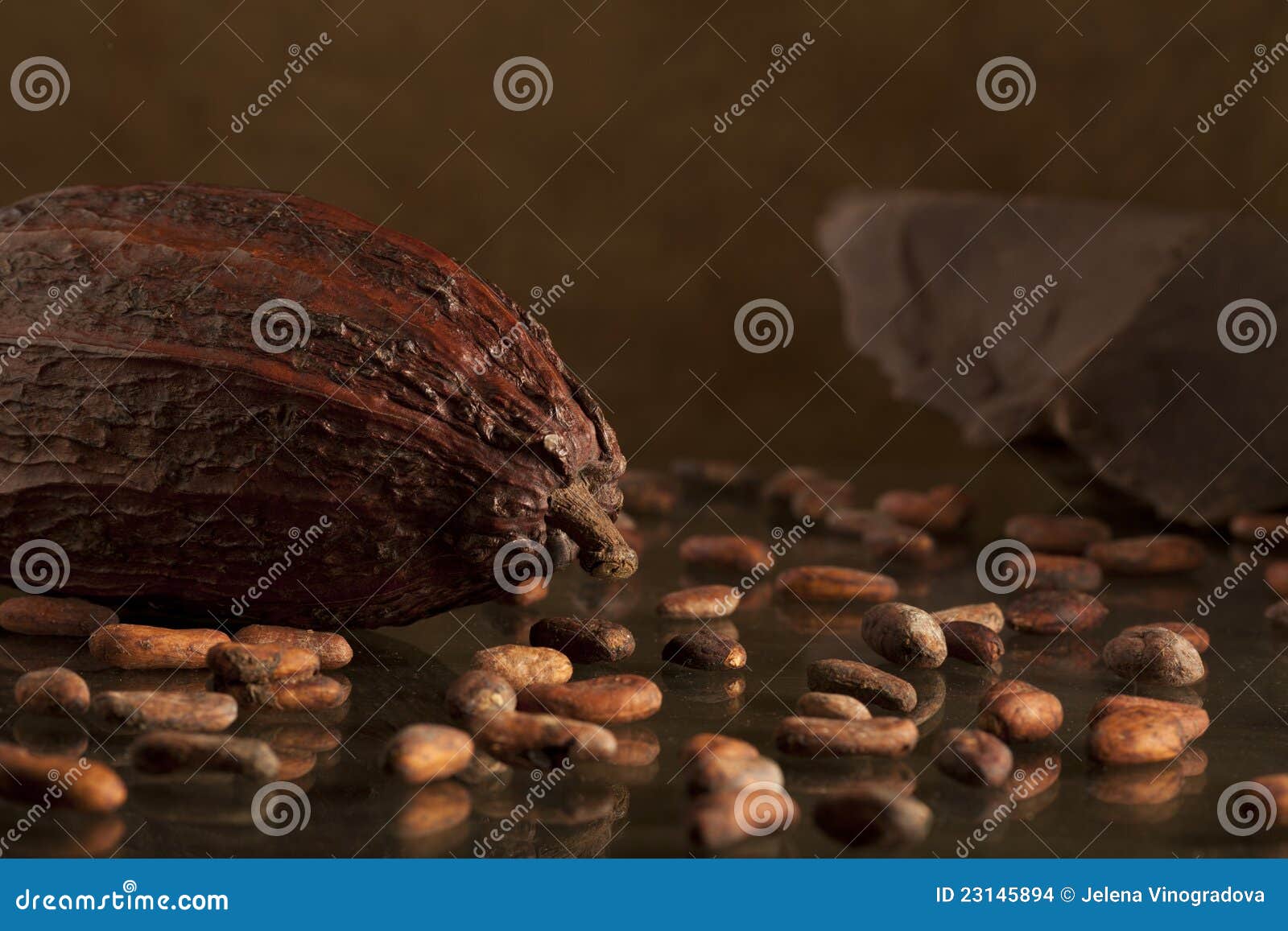 Cacaoboon met chocolade stock foto. Image of groen, studio - 23145894