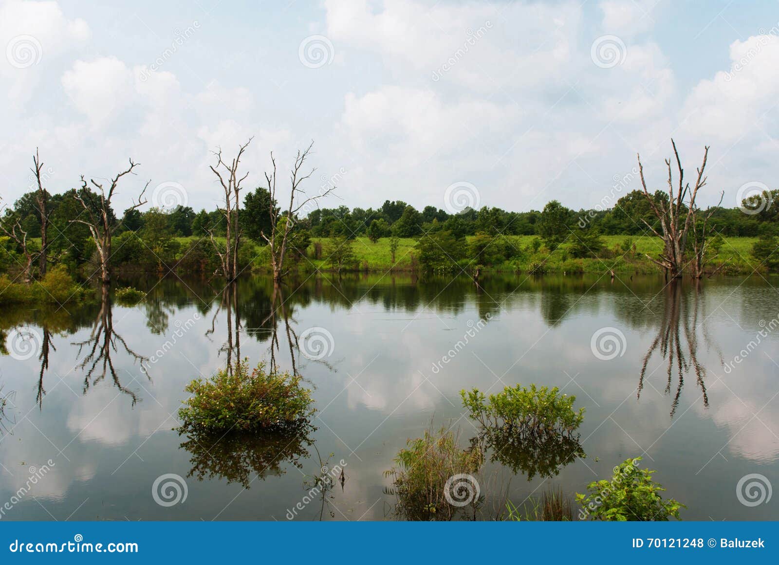 Cache River State Natural Area, Illinois, USA Stock Photo - Image of ...