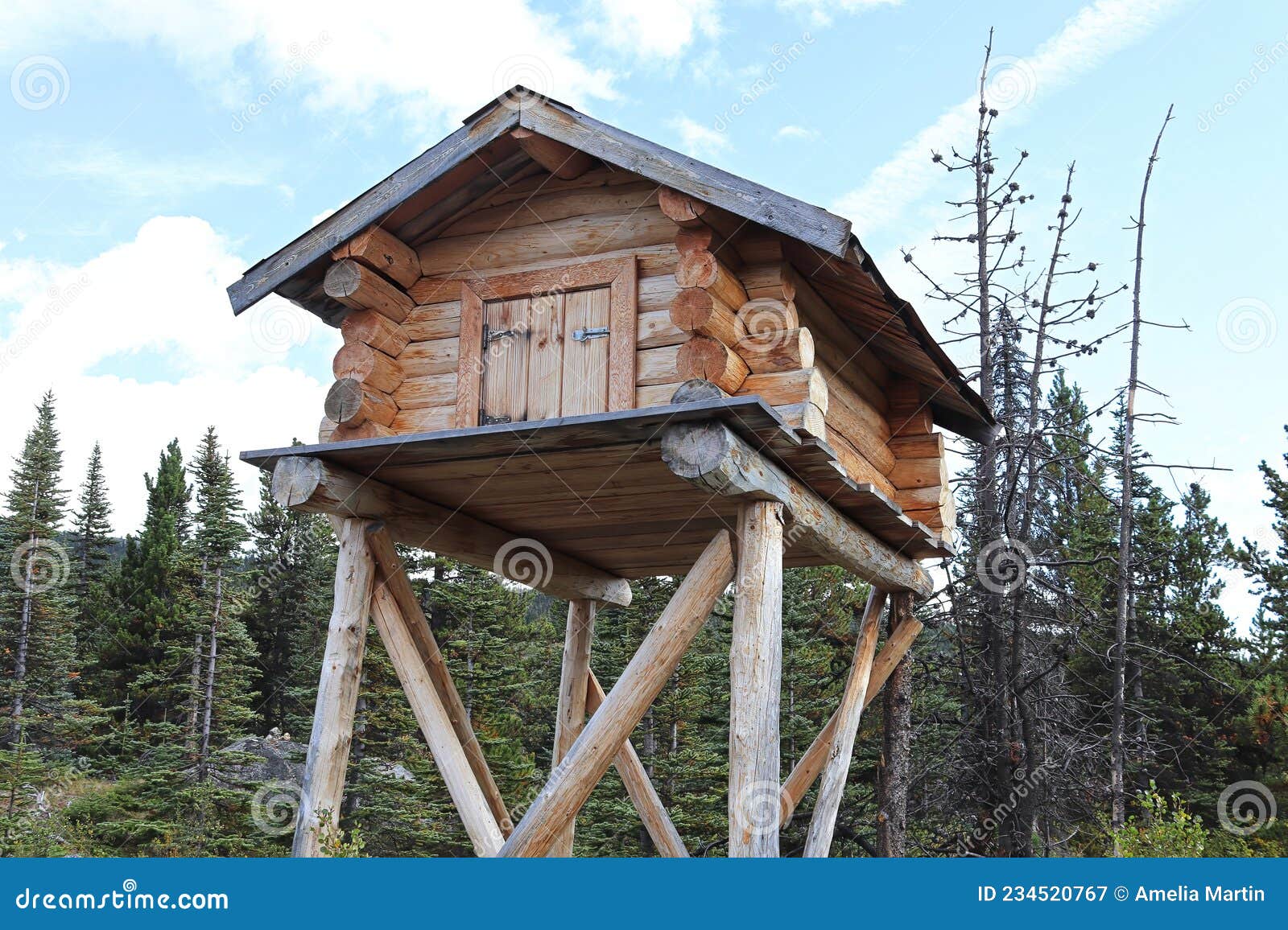 A Cache Used To Keep Meat Up High from Predators Stock Image - Image of ...