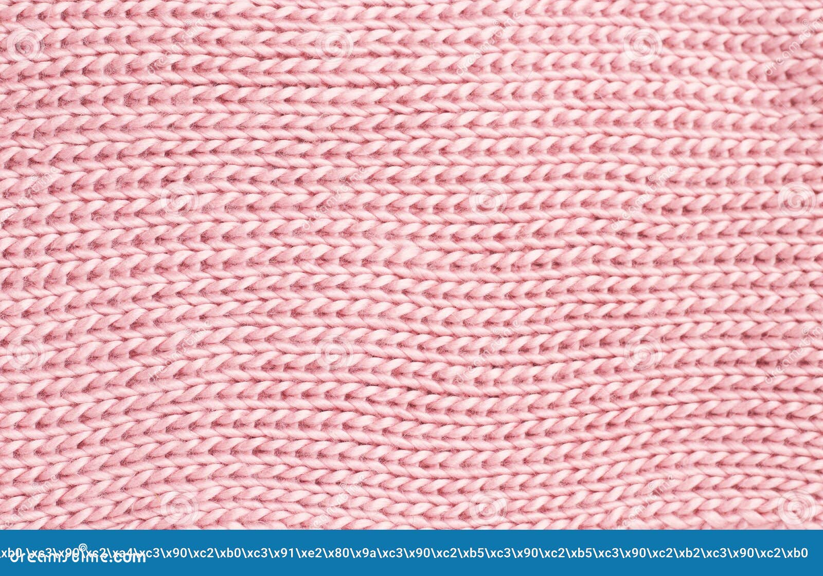 Cachecol Cor-de-rosa Fechado. Textura Imagem de Stock - Imagem de fêmea ...